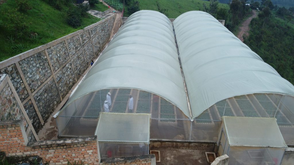 La société ITRASAGRI utilise les engrais FOMI pour la multiplication ...